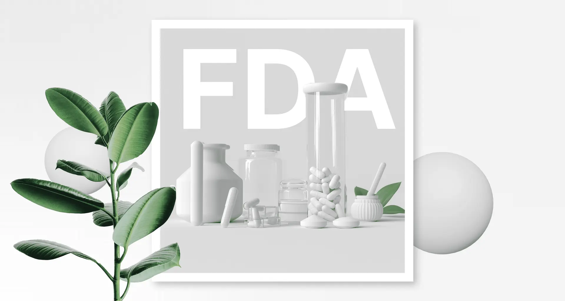 FDA and Digital Signature
